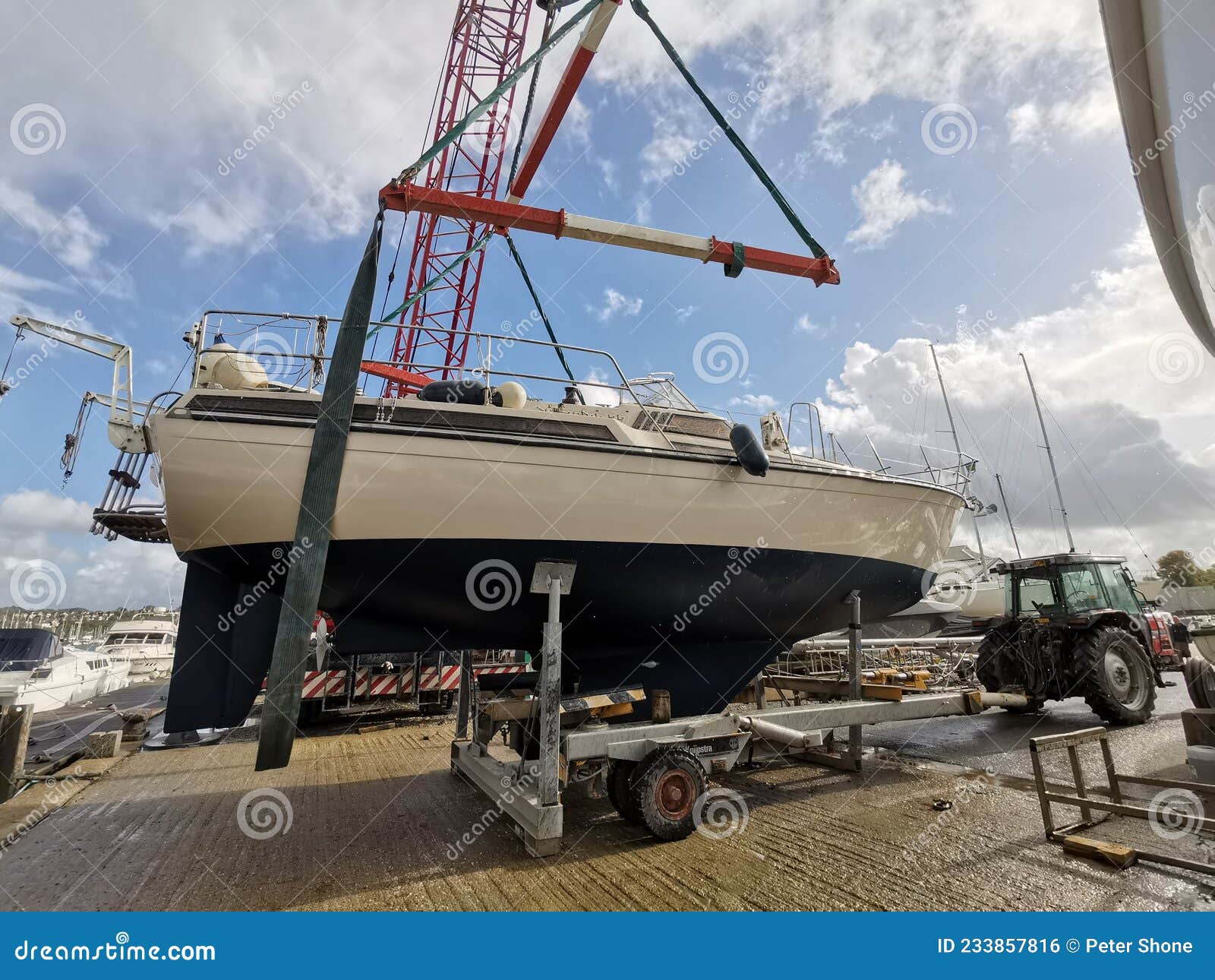 Red-Craned Crane Stock Photography | CartoonDealer.com #50115014