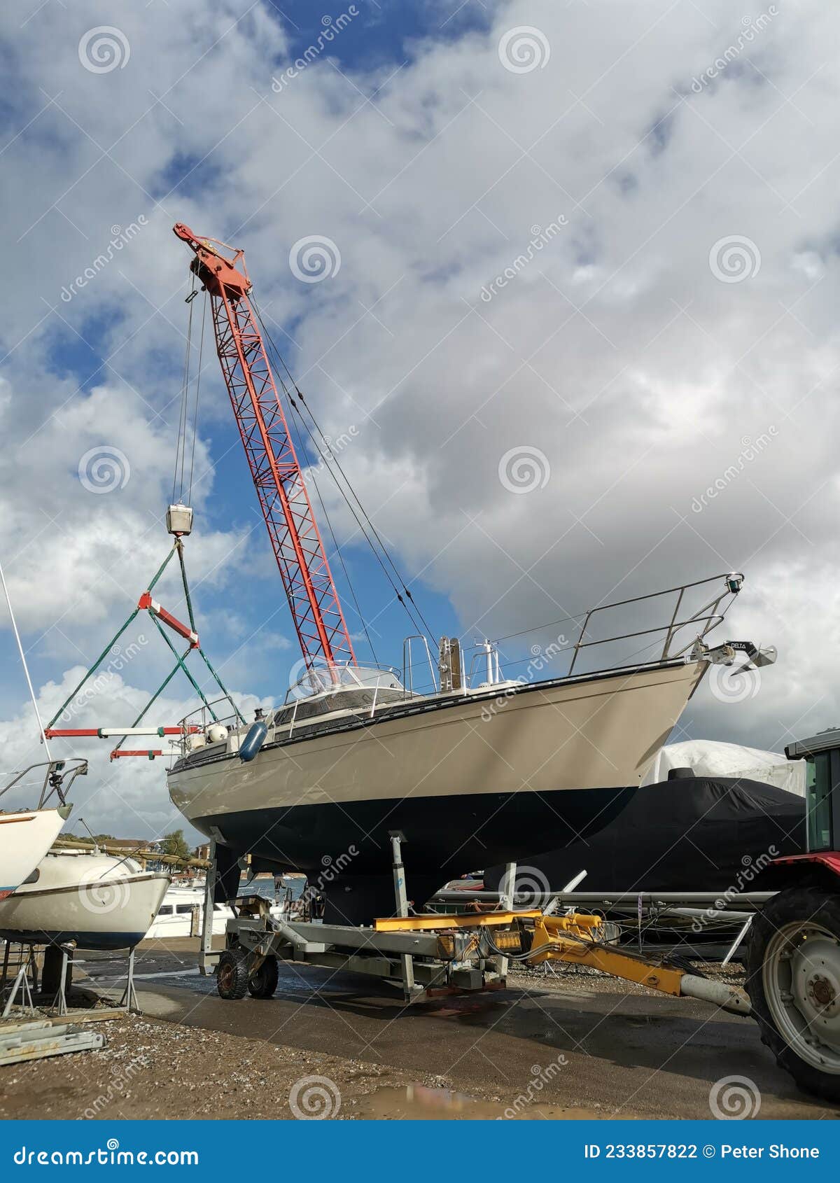 Red-Craned Crane Stock Photography | CartoonDealer.com #50115014