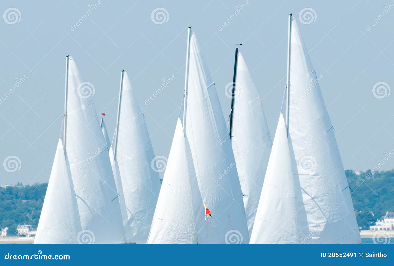 Yacht sail in regatta stock image. Image of regatta, boat - 20552491
