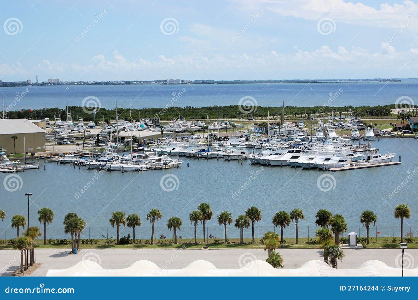 Yachts Marina Florida Palm Trees Tropical Stock Photo - Image of harbor ...