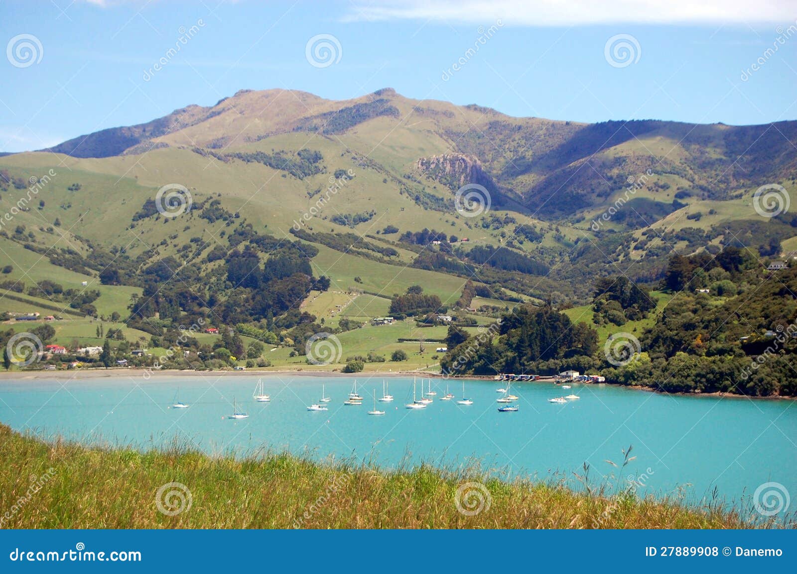 Yachts in Akaroa bay stock photo. Image of zealand, geen - 27889908