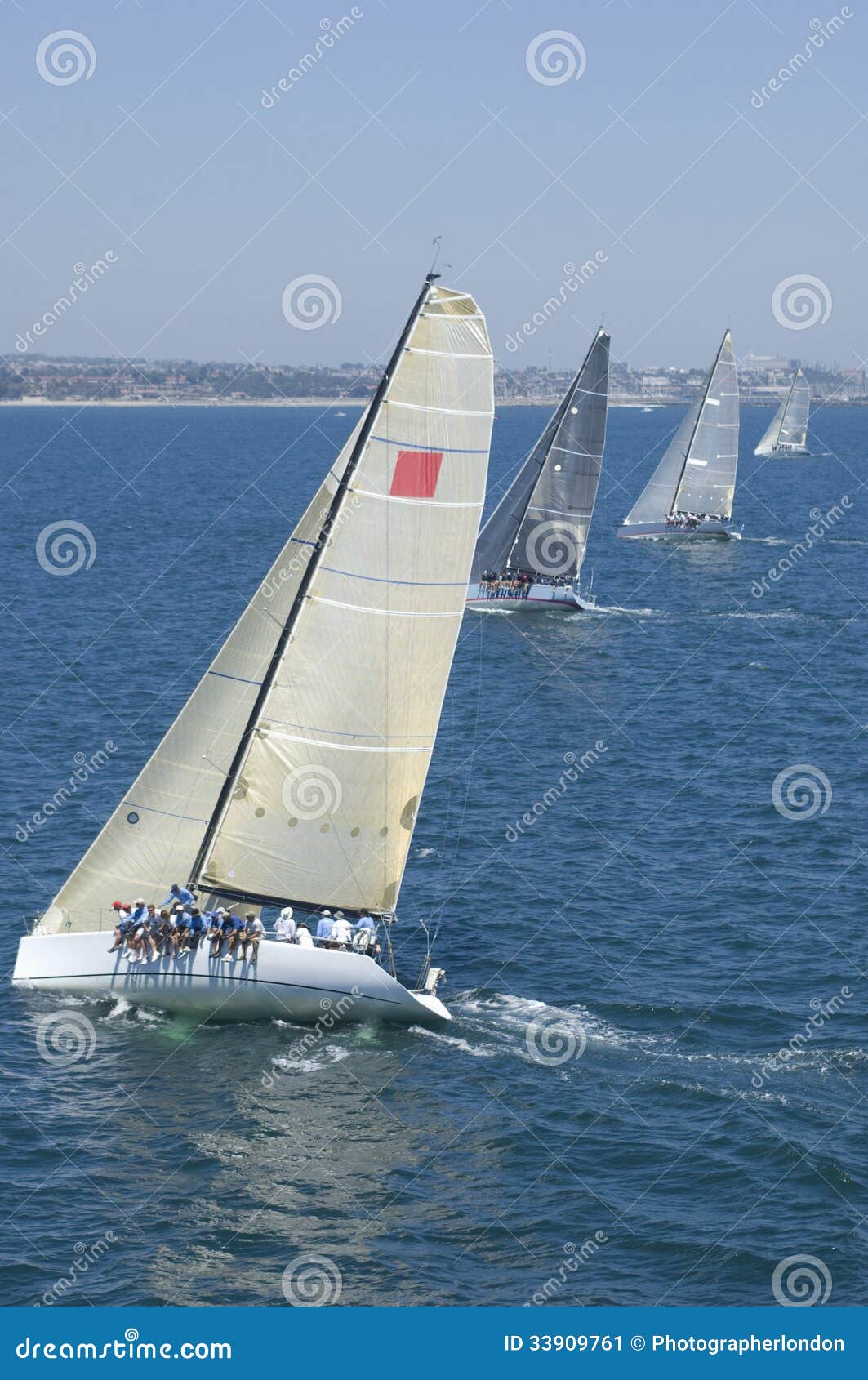 Yachts Compete in Team Sailing Event Stock Image - Image of palm ...