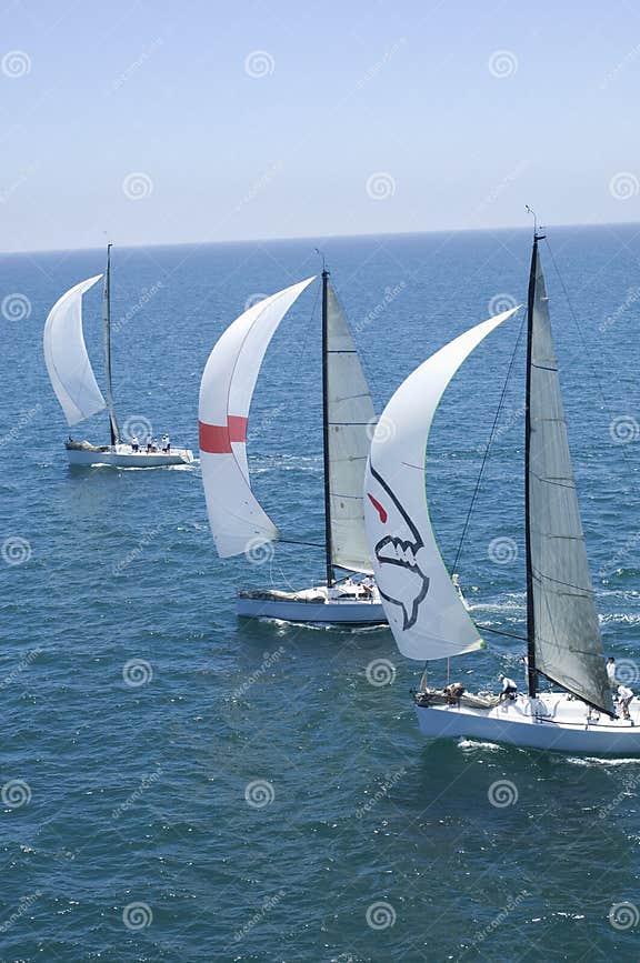 Yachts Compete in Team Sailing Event Stock Image - Image of leisure ...