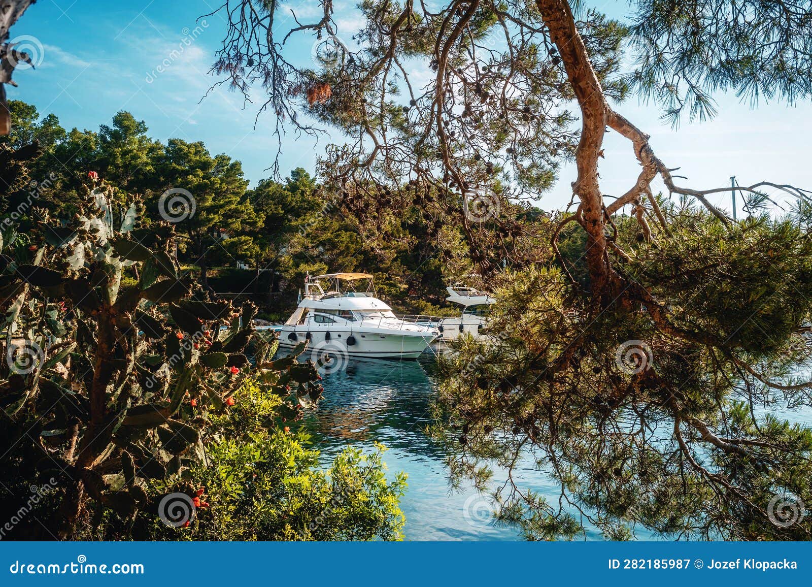 Yachts Moored in a Beautiful Natural Harbor Full of Greenery. Stock ...