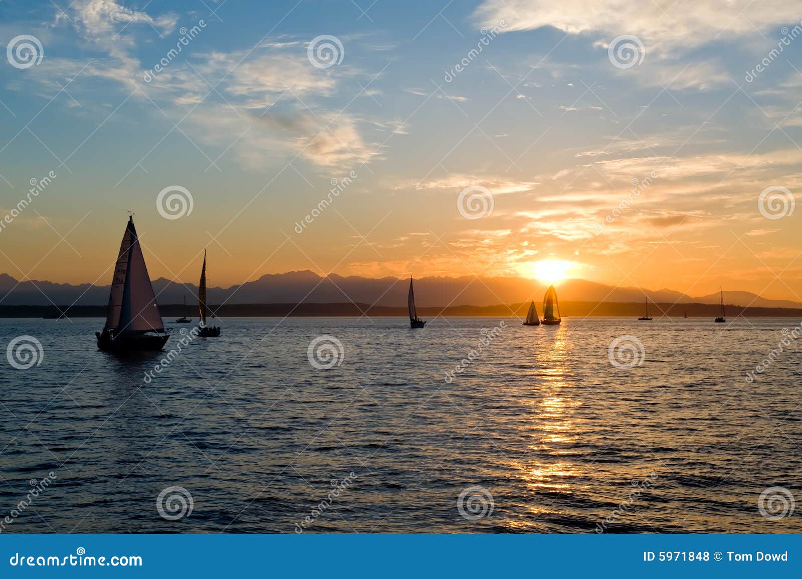 Yachts sailing at sunset stock photo. Image of water, sailboats - 5971848