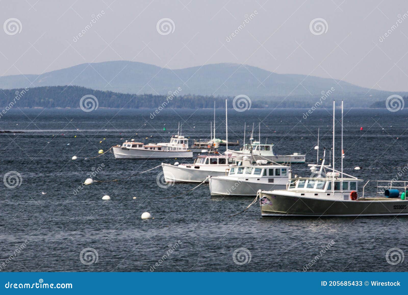 Yachts in the Sea in Daytime Editorial Stock Photo - Image of beach ...