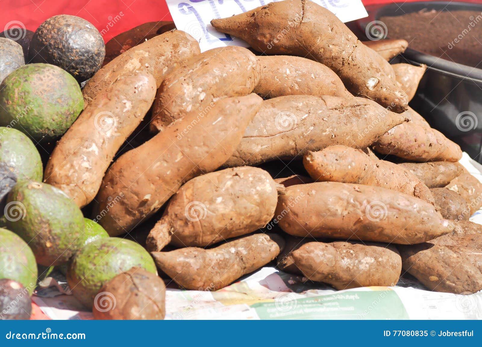 Yacon Fruit or Smallanthus Sonchifolius Stock Image - Image of potato ...