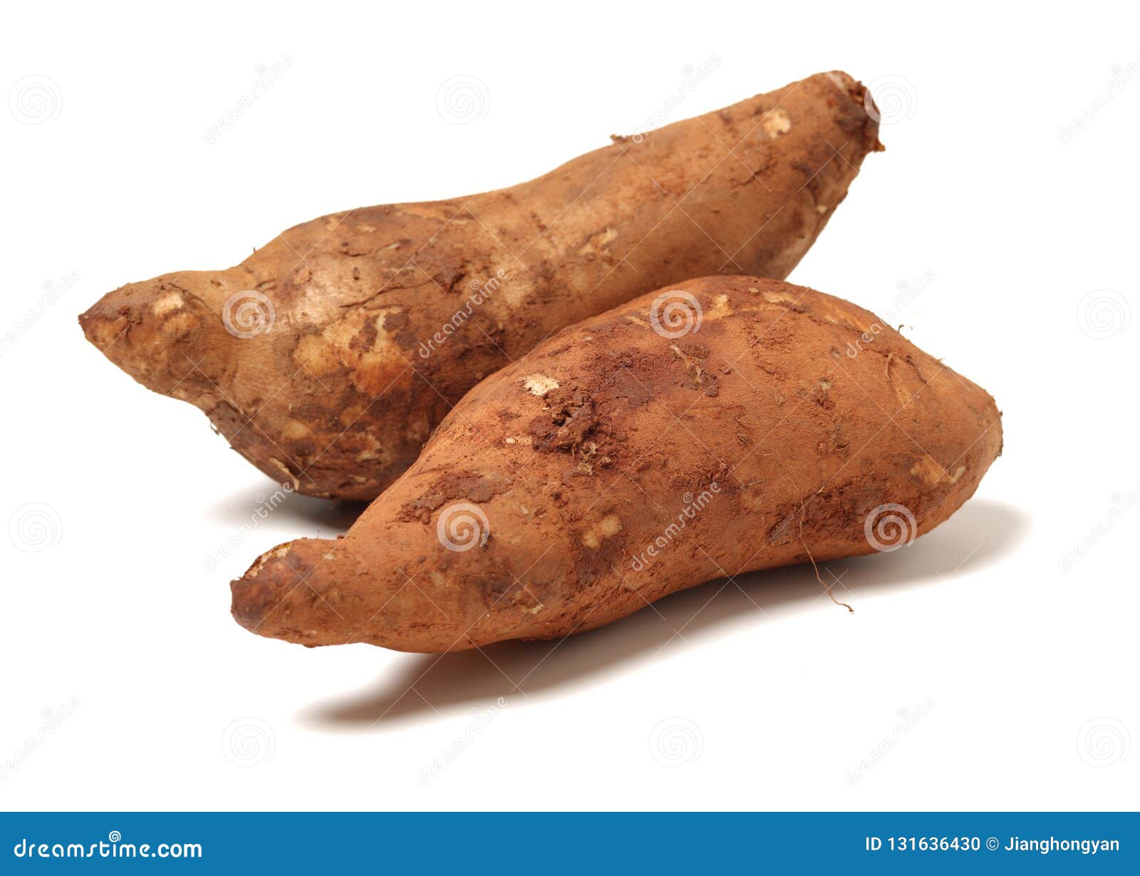 Yacon root stock photo. Image of root, background, healthy - 131636430