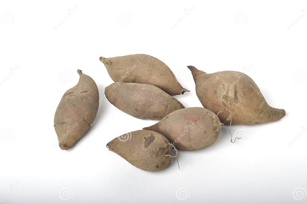 Yacon Roots on a White Background Stock Image - Image of fresh, healthy ...