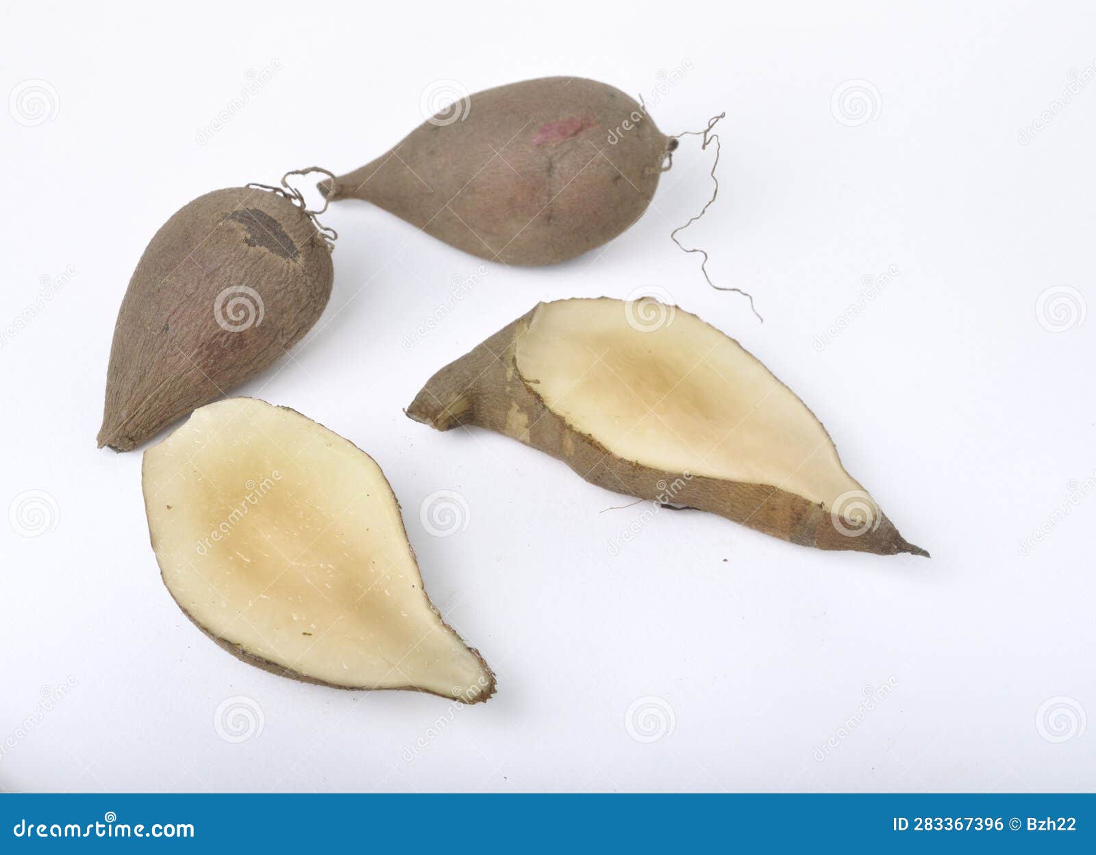 Yacon Roots on a White Background Stock Photo - Image of nutrition ...