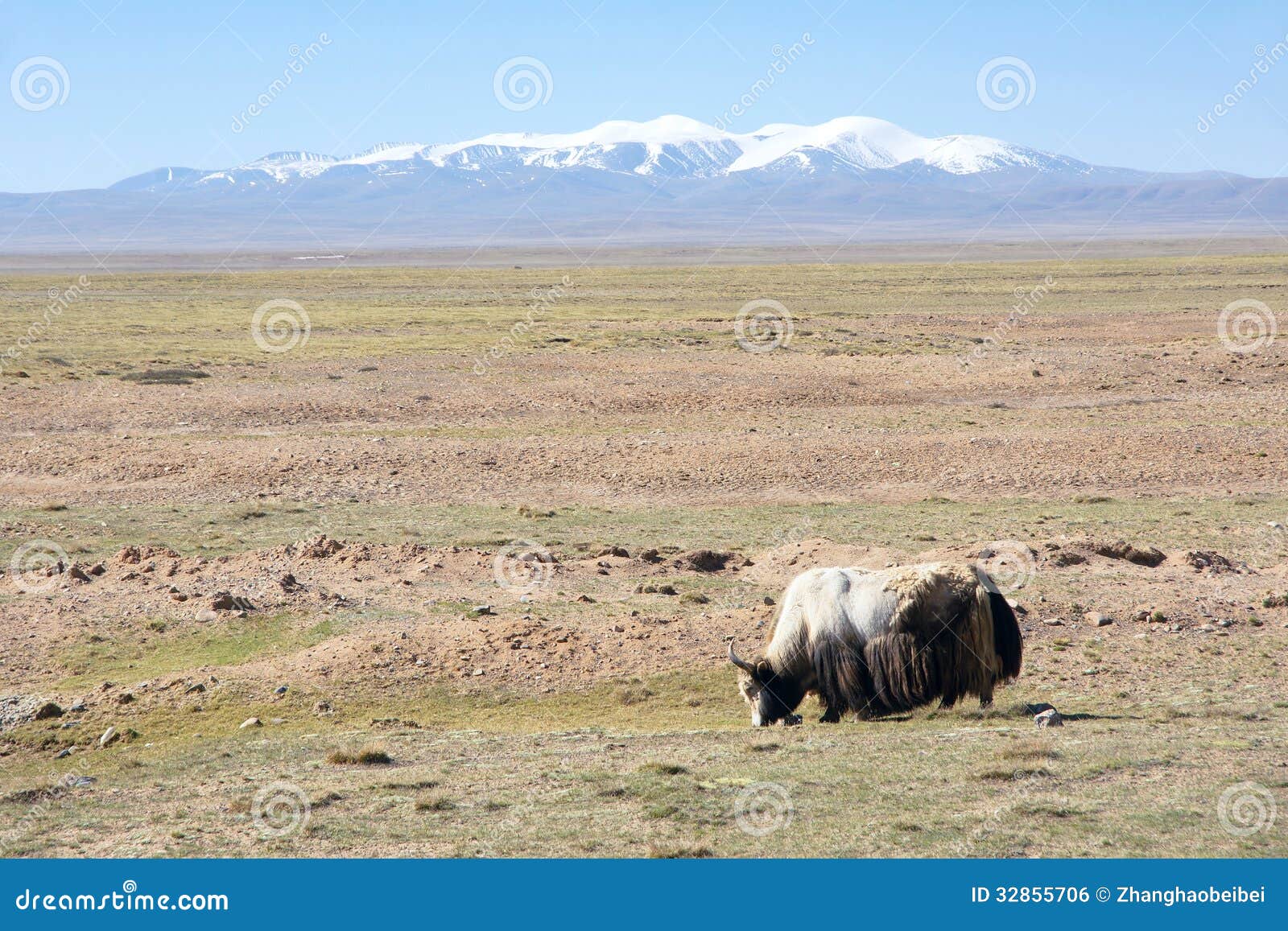 Yacs foto de archivo. Imagen de continental, escénico - 32855706
