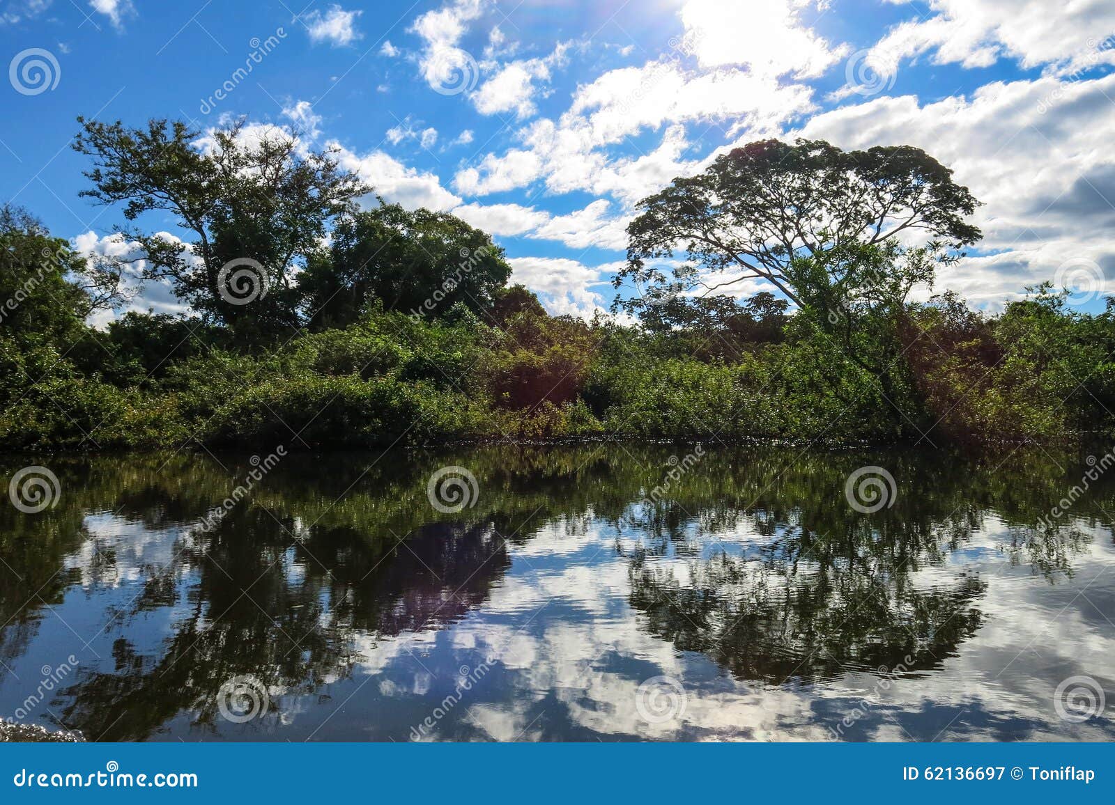 Yacuma River. Bolivian Jungle Stock Image - Image of american, bolivian ...