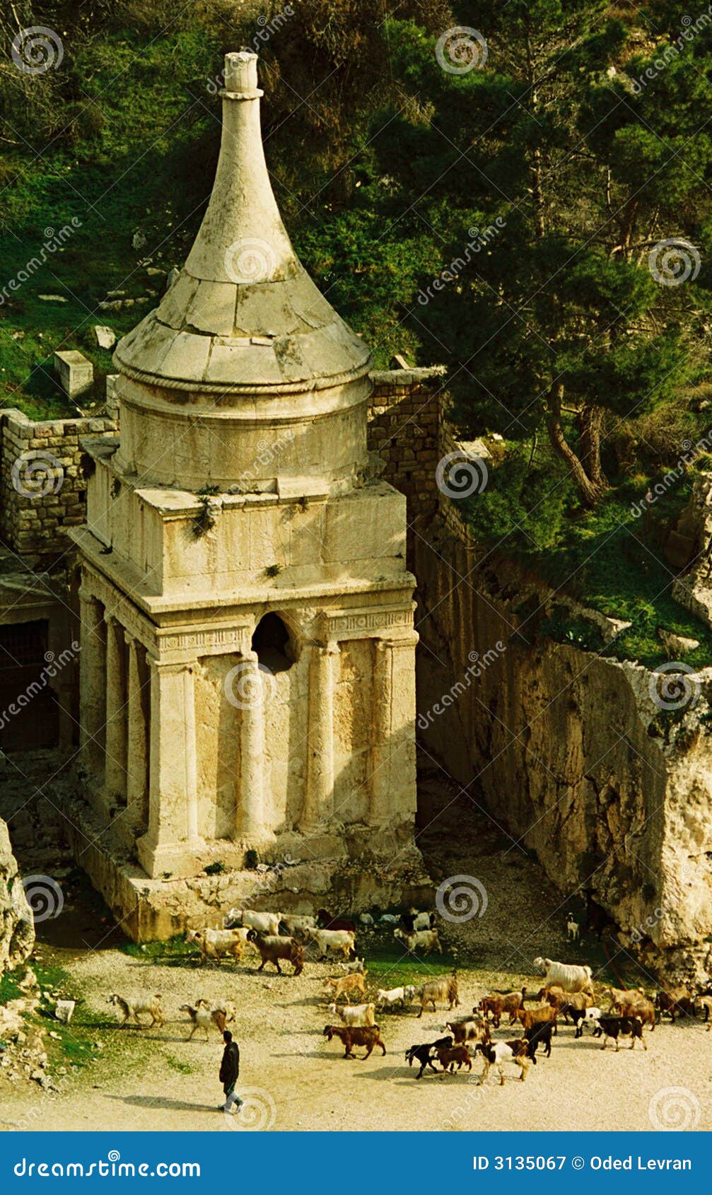 Yad Avshalom stock image. Image of valley, goats, ancient - 3135067