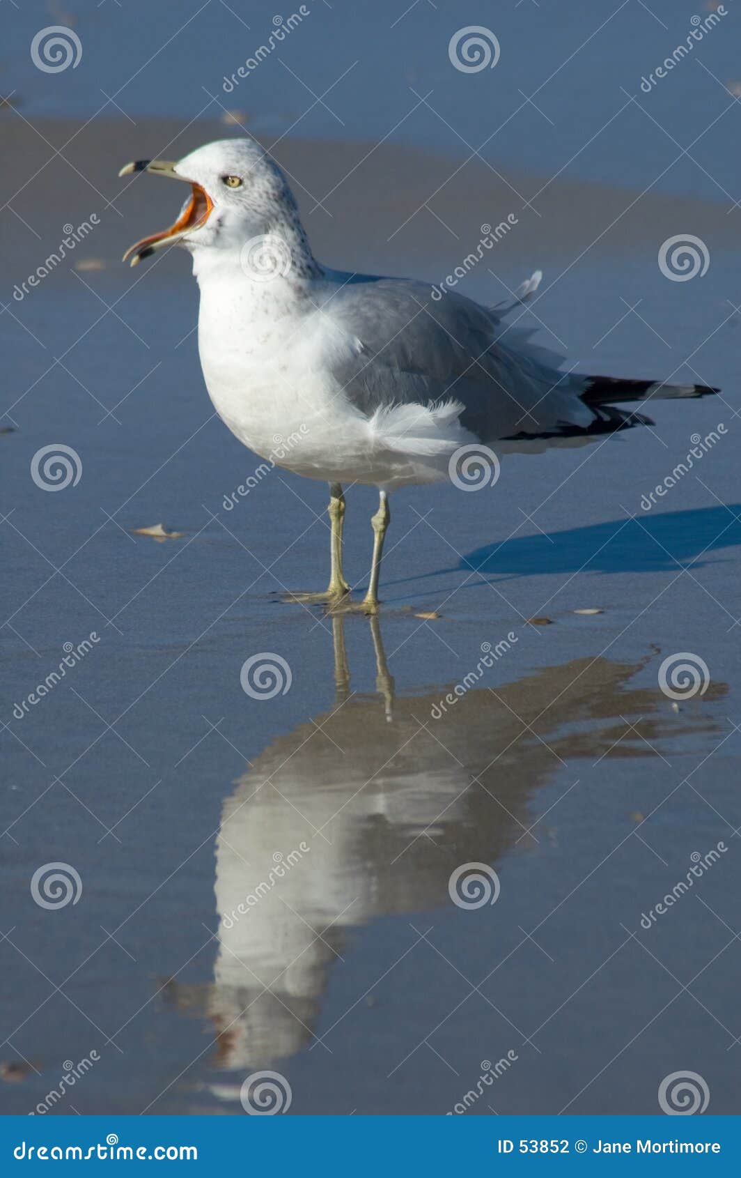 Yada yada yada... stock photo. Image of morning, vacation - 53852