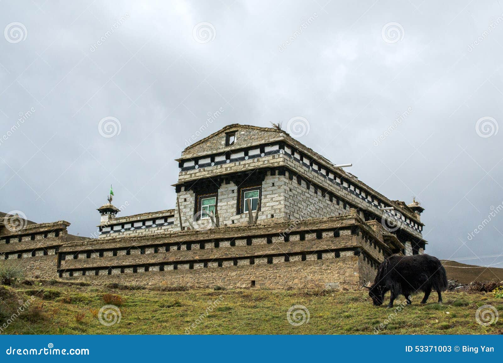 Yak and house stock image. Image of build, grass, cloudy - 53371003