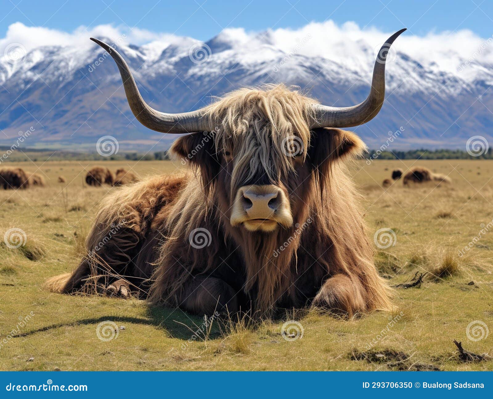 Ai Generated Illustration Wildlife Concept of Yak Stock Illustration - Illustration of mammal ...