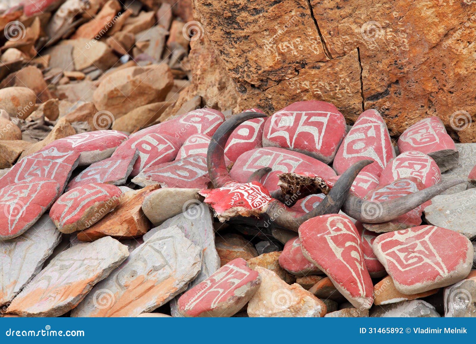 Yak Head Engraving Stock Photos - Free & Royalty-Free Stock Photos from ...