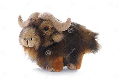 Yak Stuffed Animal stock photo. Image of furry, animal - 13704748