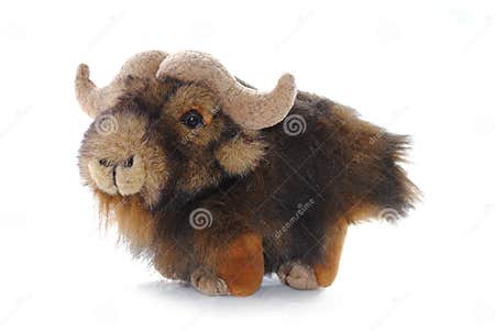 Yak Stuffed Animal stock photo. Image of furry, animal - 13704748