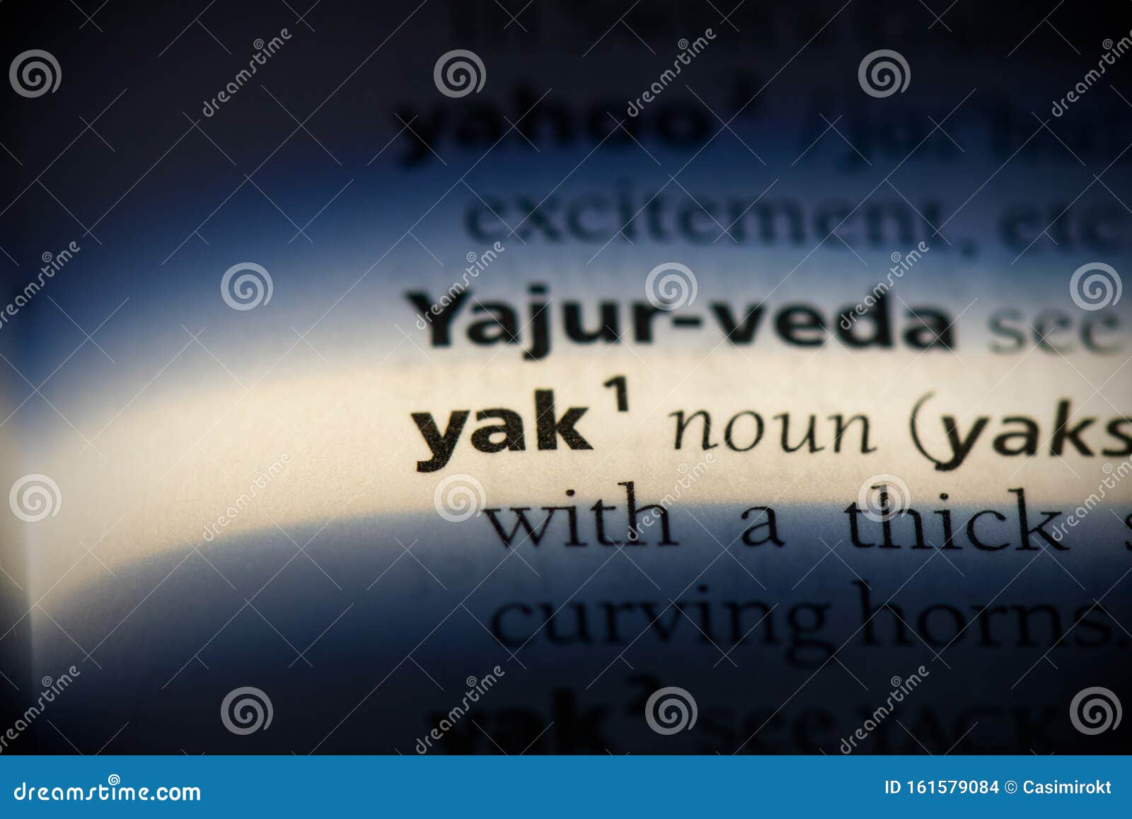 Yak stock photo. Image of dictionary, closeup, reference - 161579084