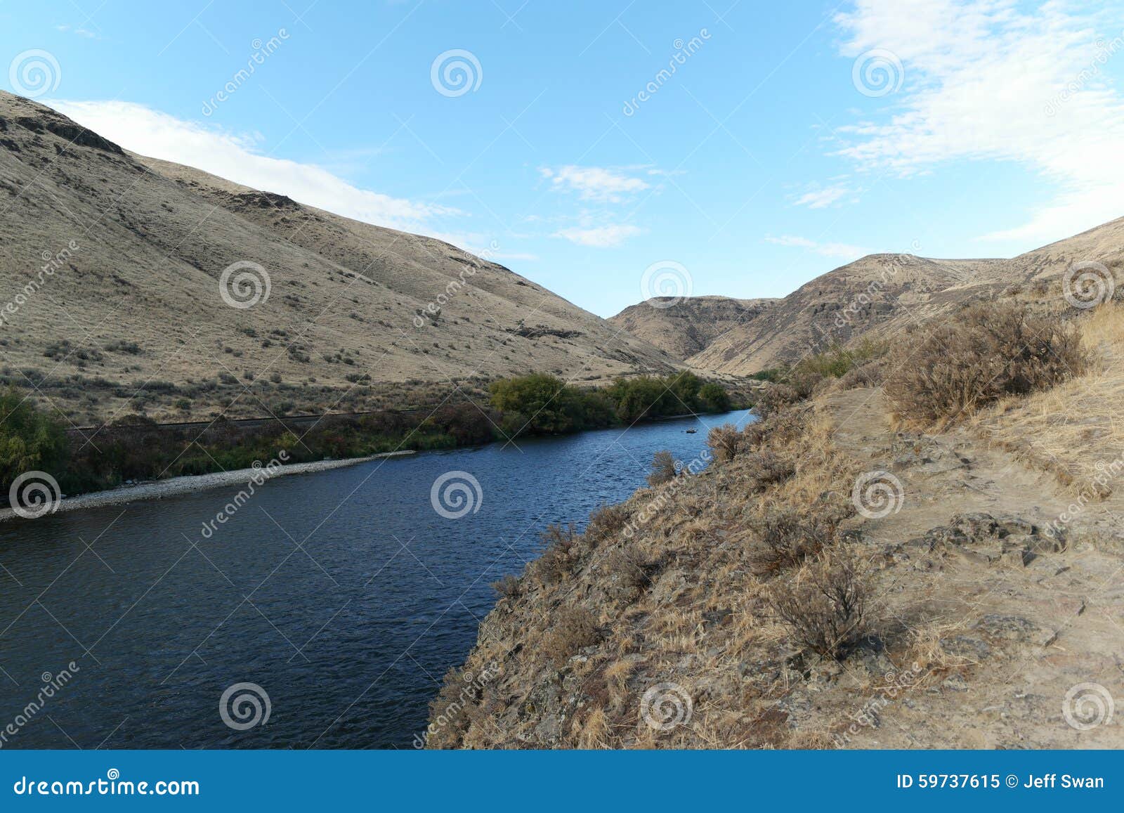 Yakima river stock image. Image of view, travel, trees - 59737615