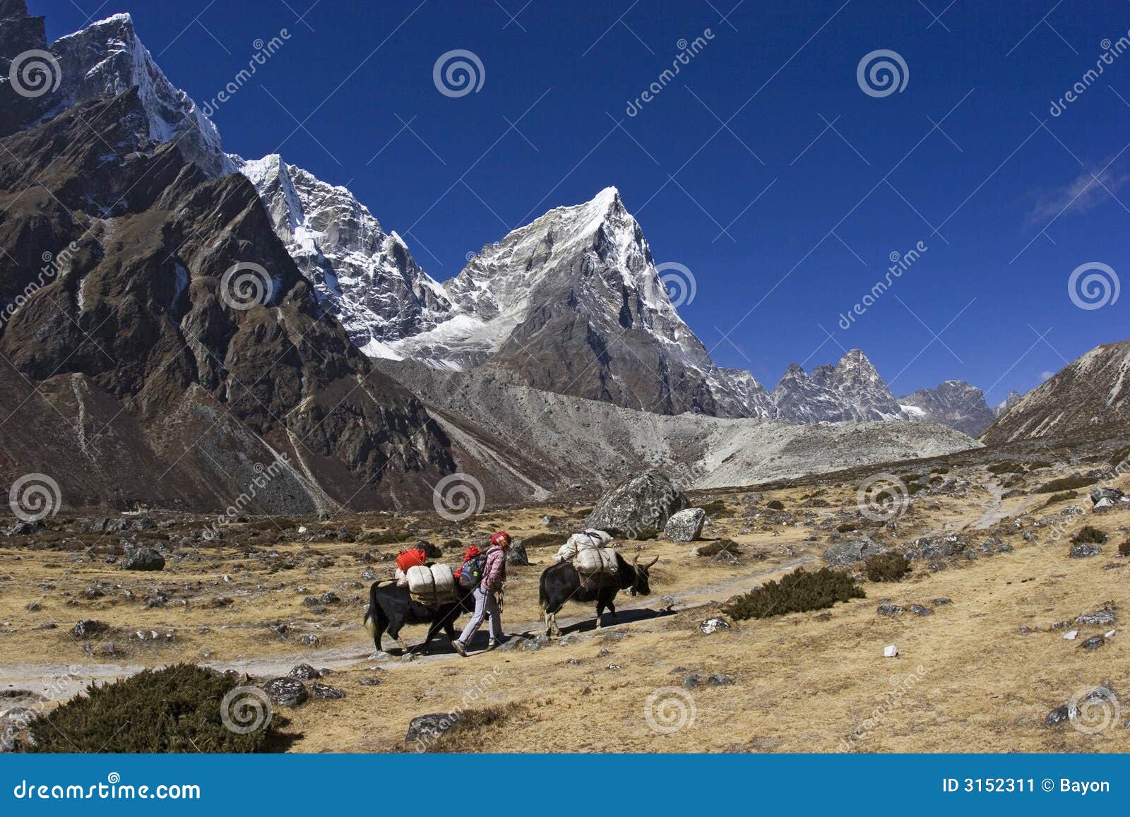 Royalty Free Images, Cartoons, Illustrations And Photos Designed By ...