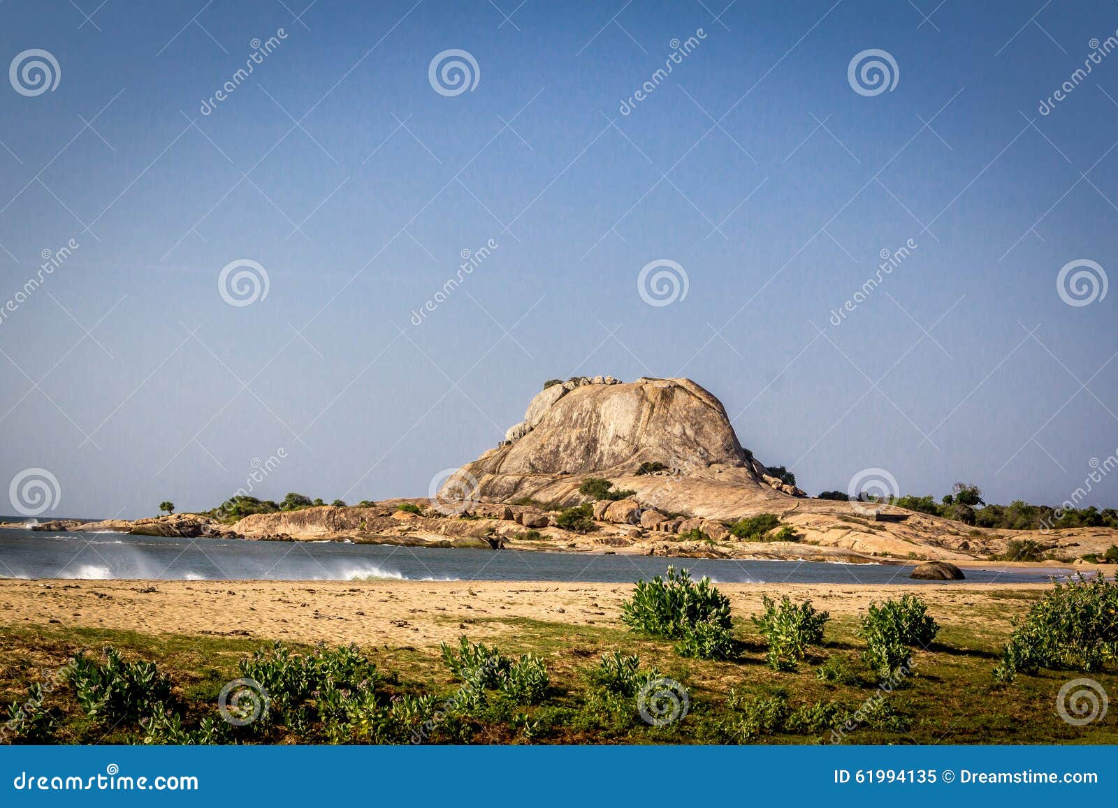 Yala national park stock image. Image of traveling, lanka - 61994135