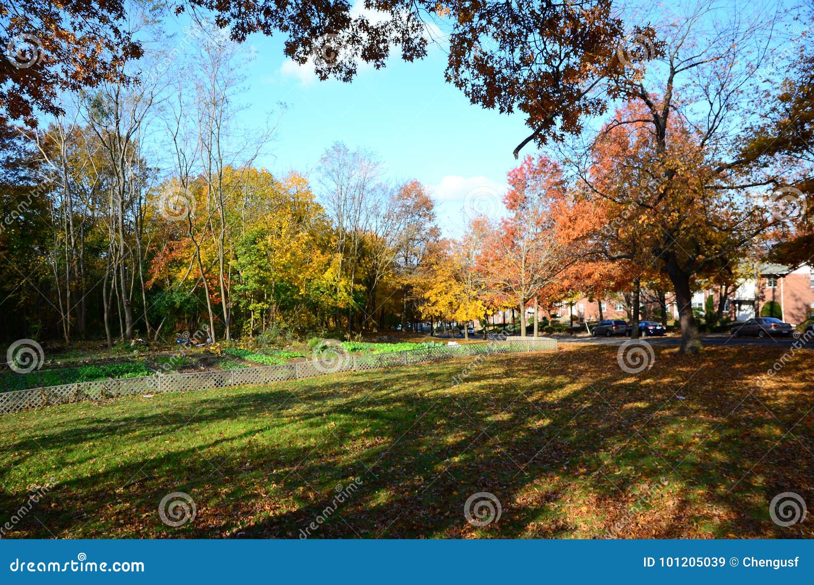 Yale Campus street in Fall stock image. Image of education - 101205039