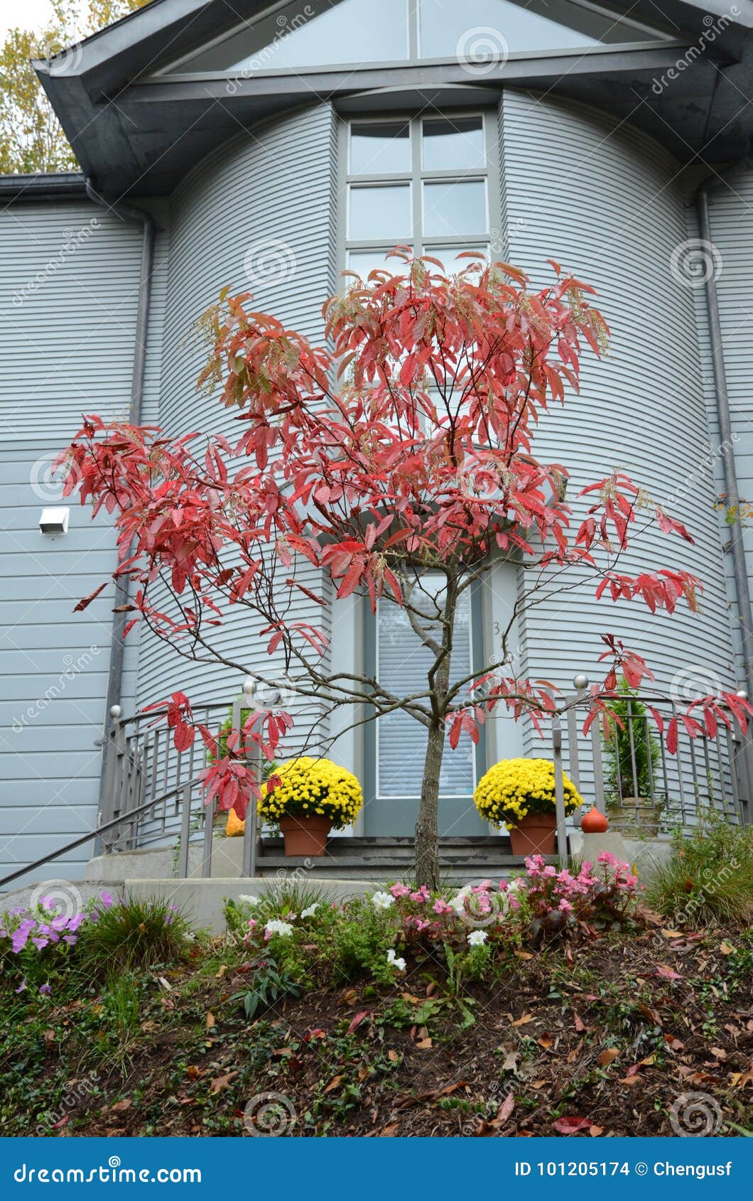 Yale Campus street in Fall stock photo. Image of chimney - 101205174