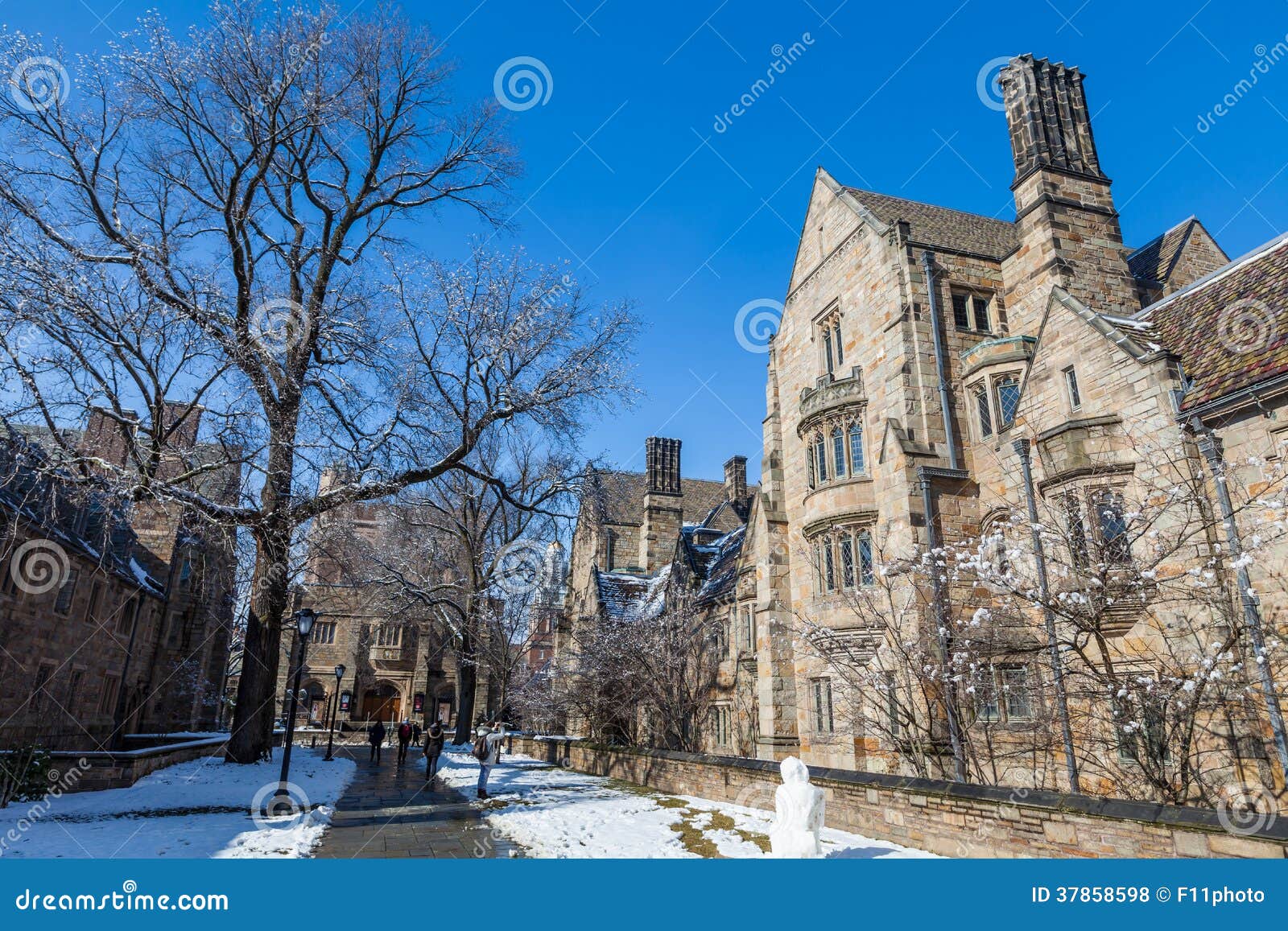 Yale university editorial stock photo. Image of snow - 37858598