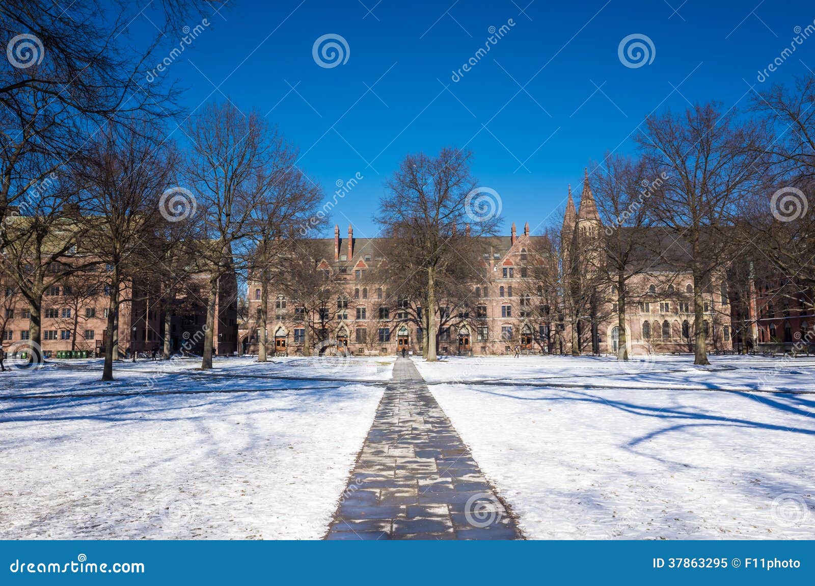 Yale university buildings stock image. Image of sterling - 37863295