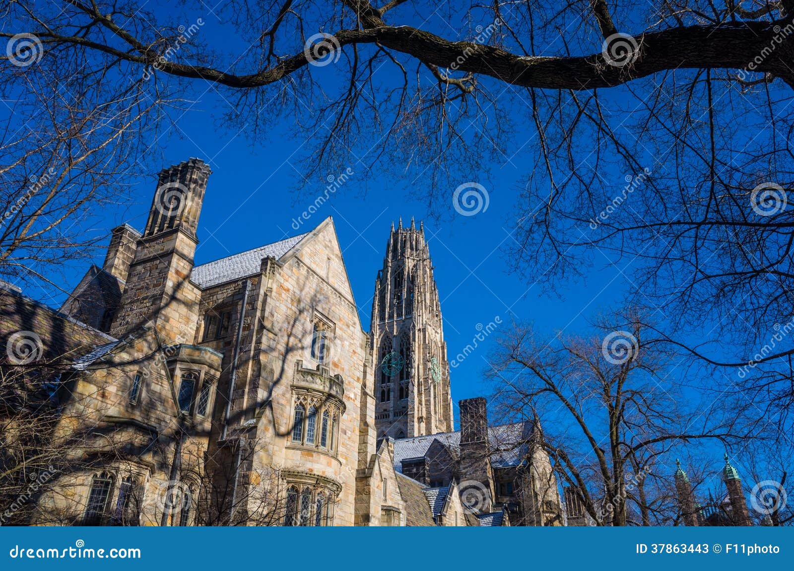 Yale university buildings stock image. Image of rare - 37863443