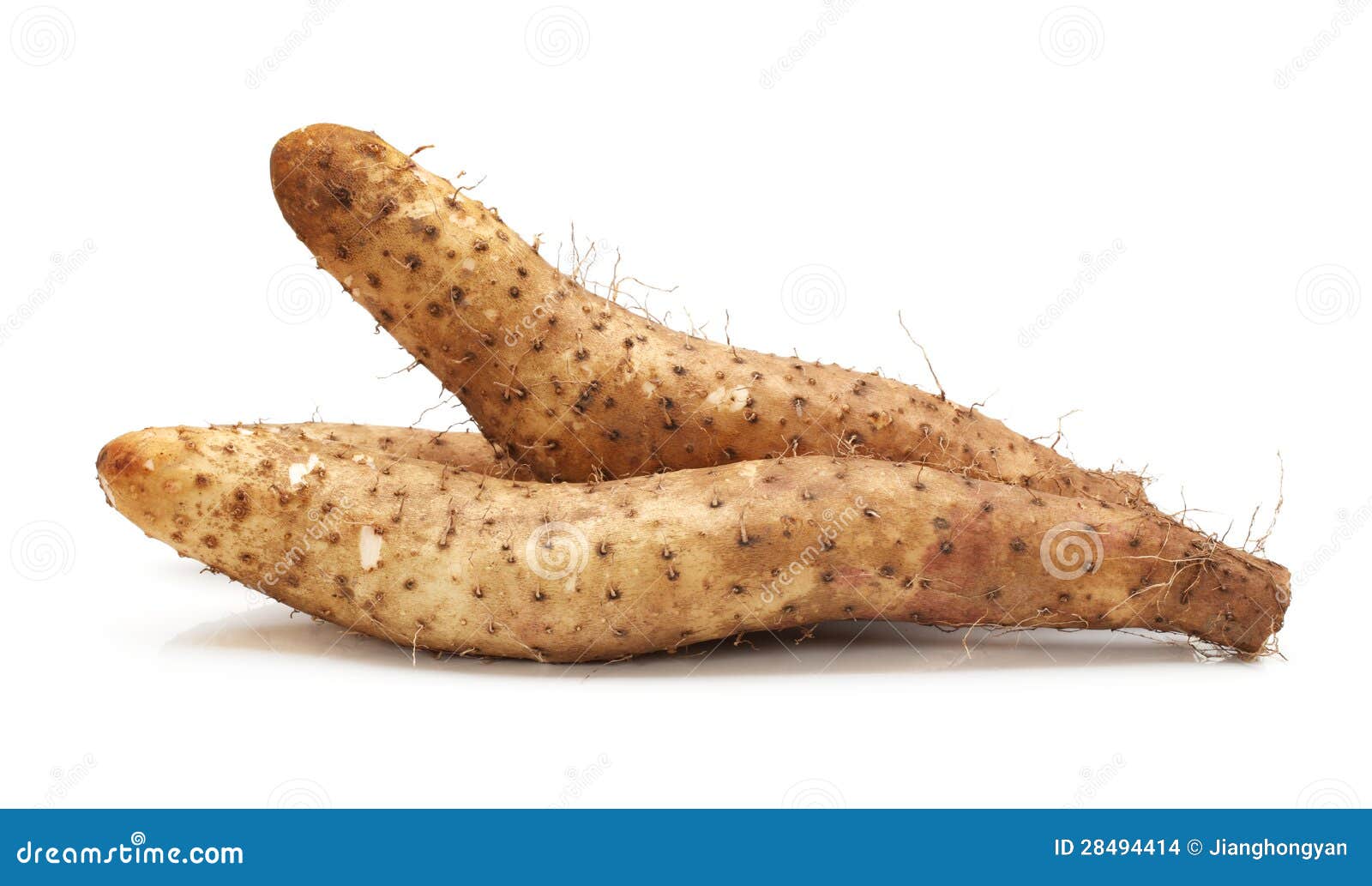 Yam stock photo. Image of tuberous, drink, vegetable - 28494414