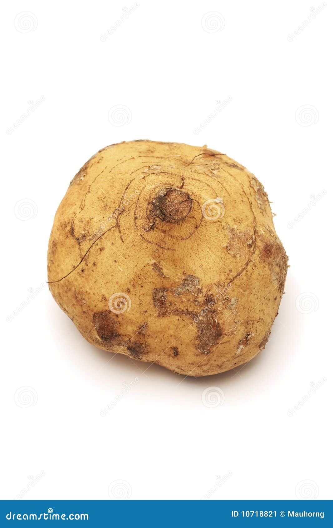 Yam Bean Stock Image - Image: 10718821