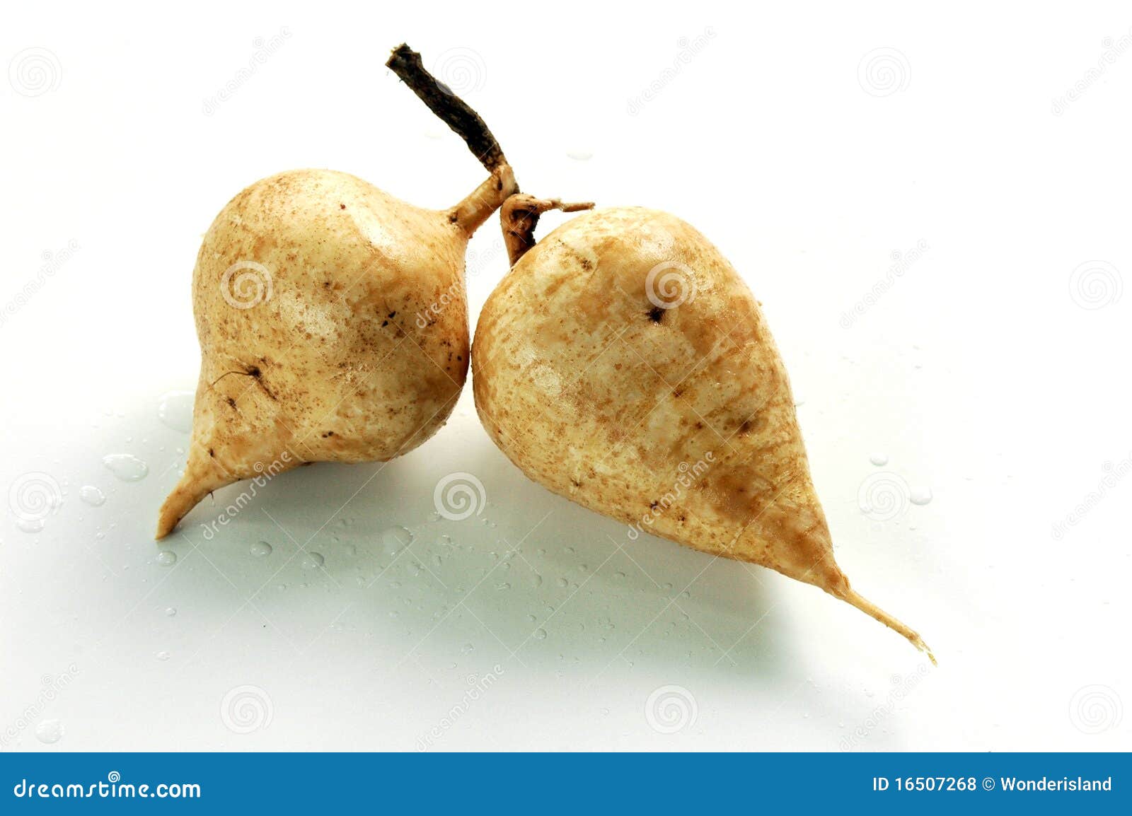 Yam Bean stock photo. Image of fruit, slice, turnip, bean - 16507268