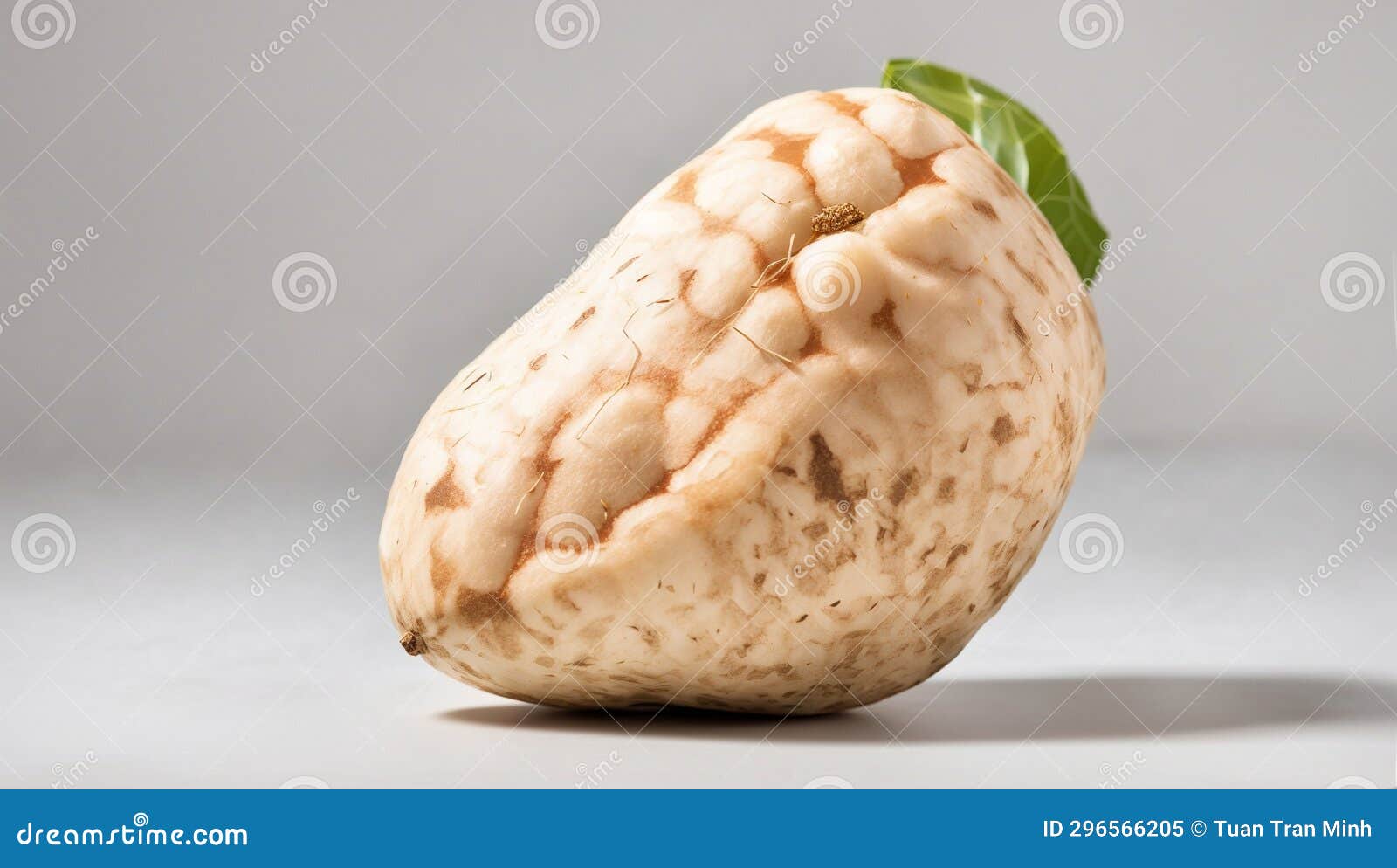 Yam bean . stock image. Image of icing, bean, ceramic - 296566205
