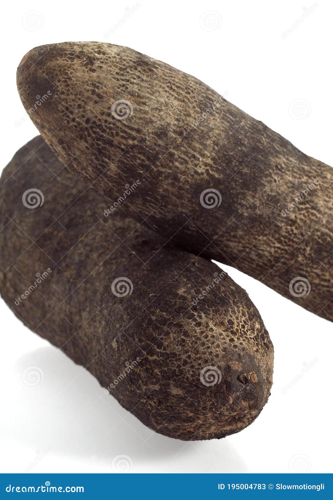 YAM Dioscorea Sp AGAINST WHITE BACKGROUND Stock Image - Image of ...