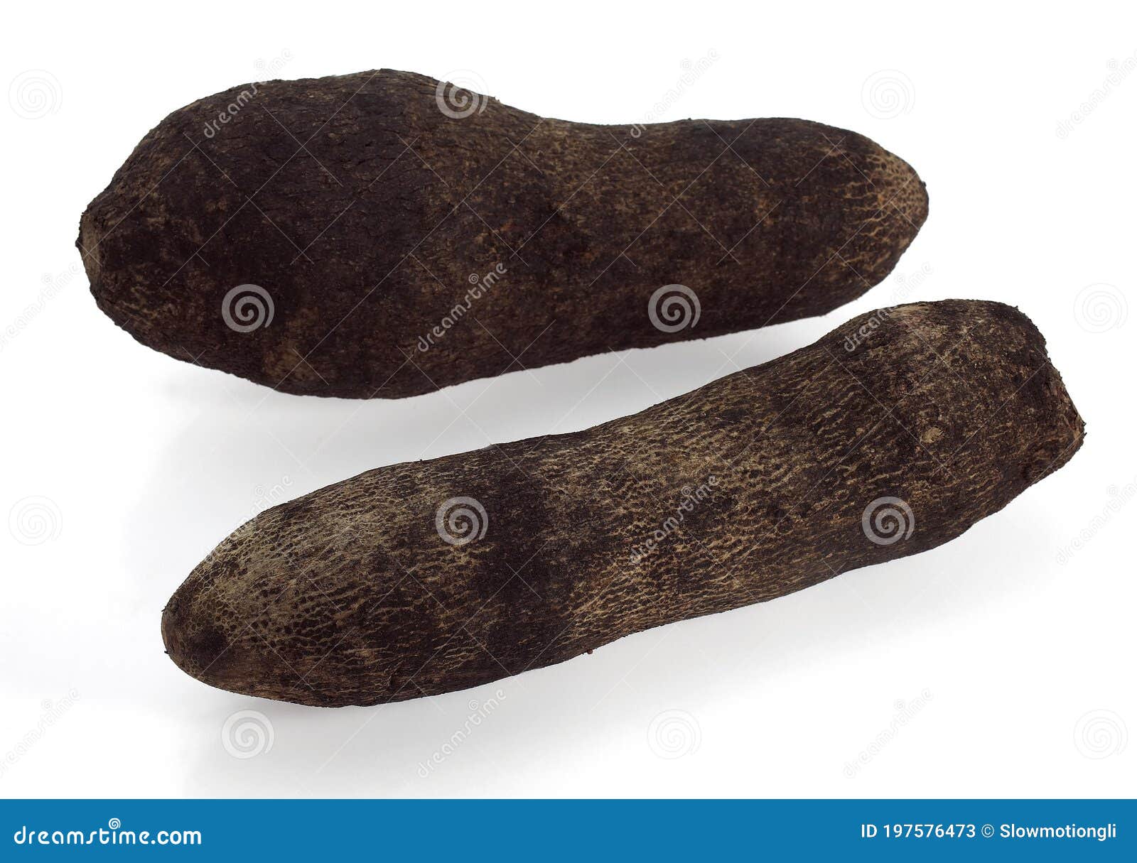 Yam, Dioscorea Sp. Against White Background Stock Image - Image of food ...