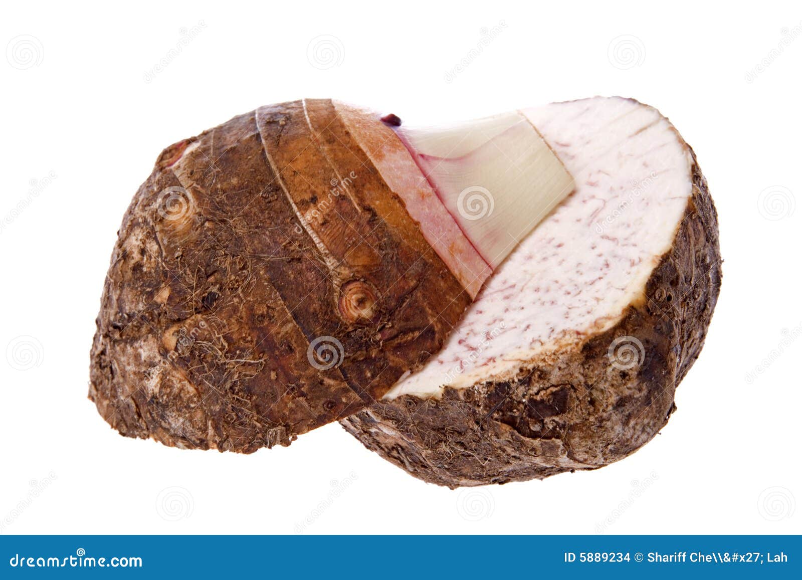 Yam Isolated stock photo. Image of edible, healthy, nature - 5889234