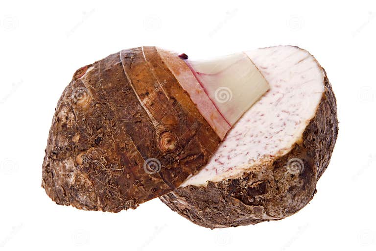 Yam Isolated stock photo. Image of edible, healthy, nature - 5889234