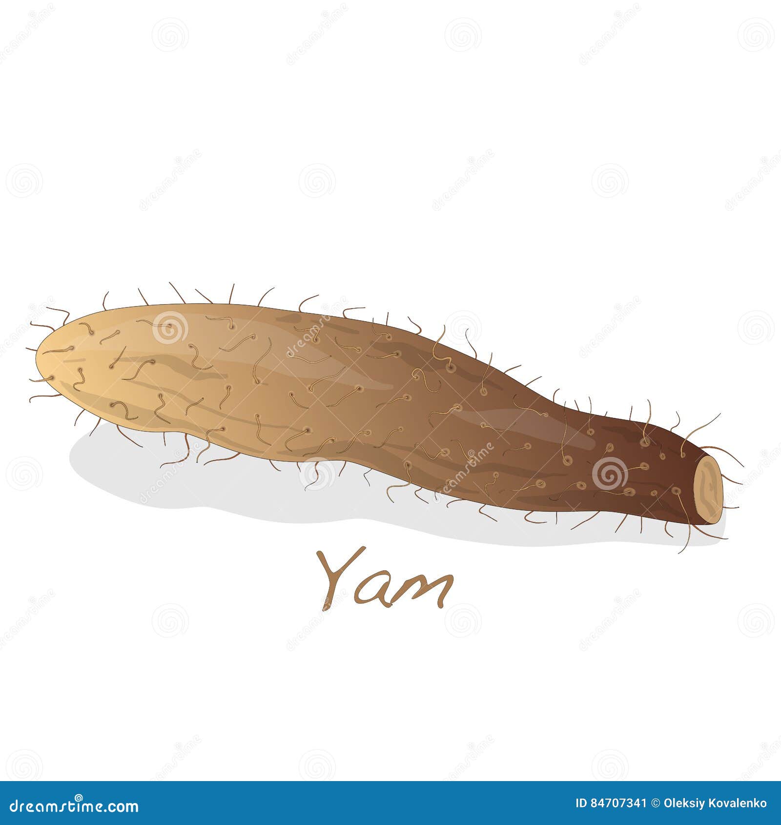 Yam Isolated On White Background Cartoon Vector | CartoonDealer.com ...