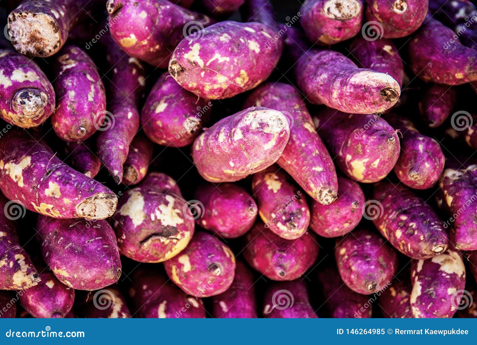 Yam with Texture Background Stock Image - Image of pink, asia: 146264985