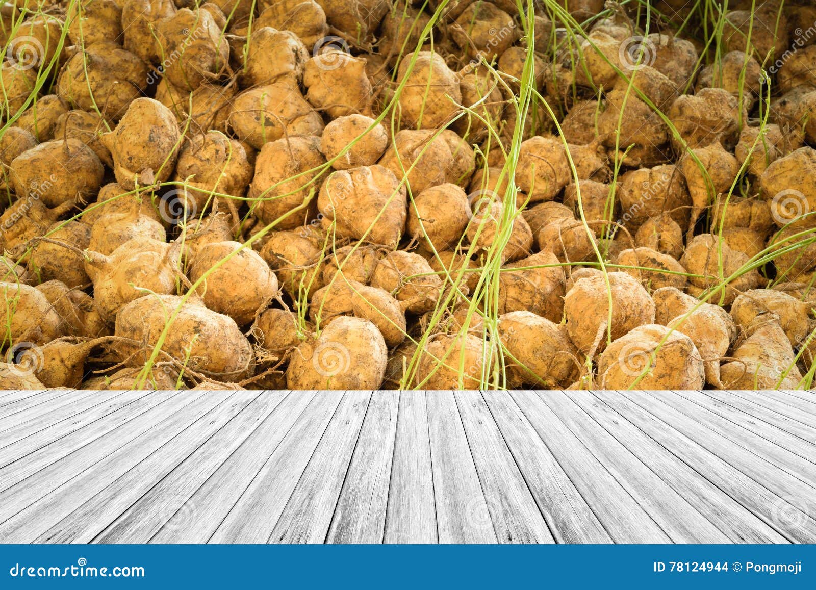 Yam Texture Surface with Wood Terrace Stock Photo - Image of nature ...