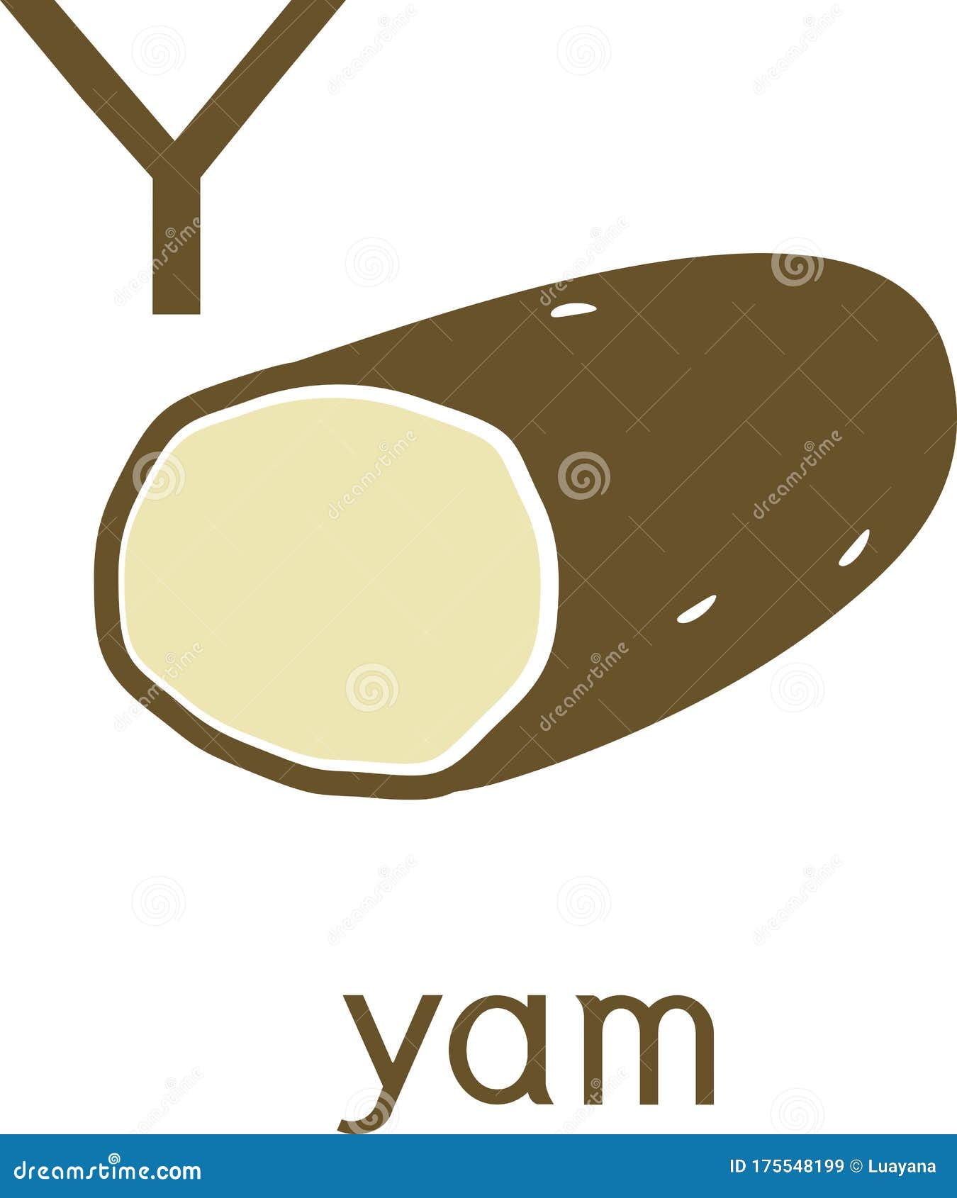 Yam vegetable stock vector. Illustration of tropical - 175548199