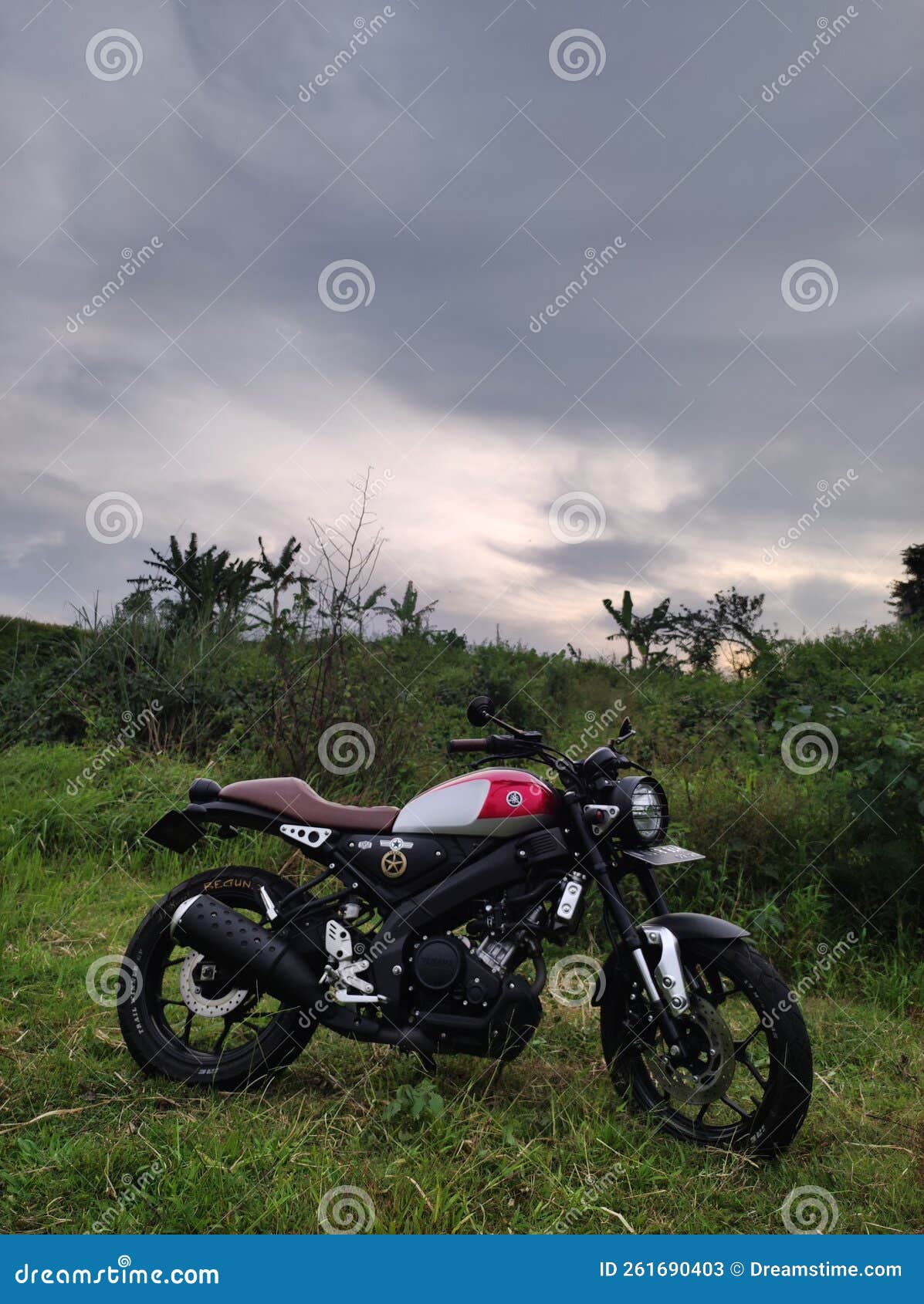 Yamaha XSR 155 editorial stock photo. Image of xsr155 - 261690403