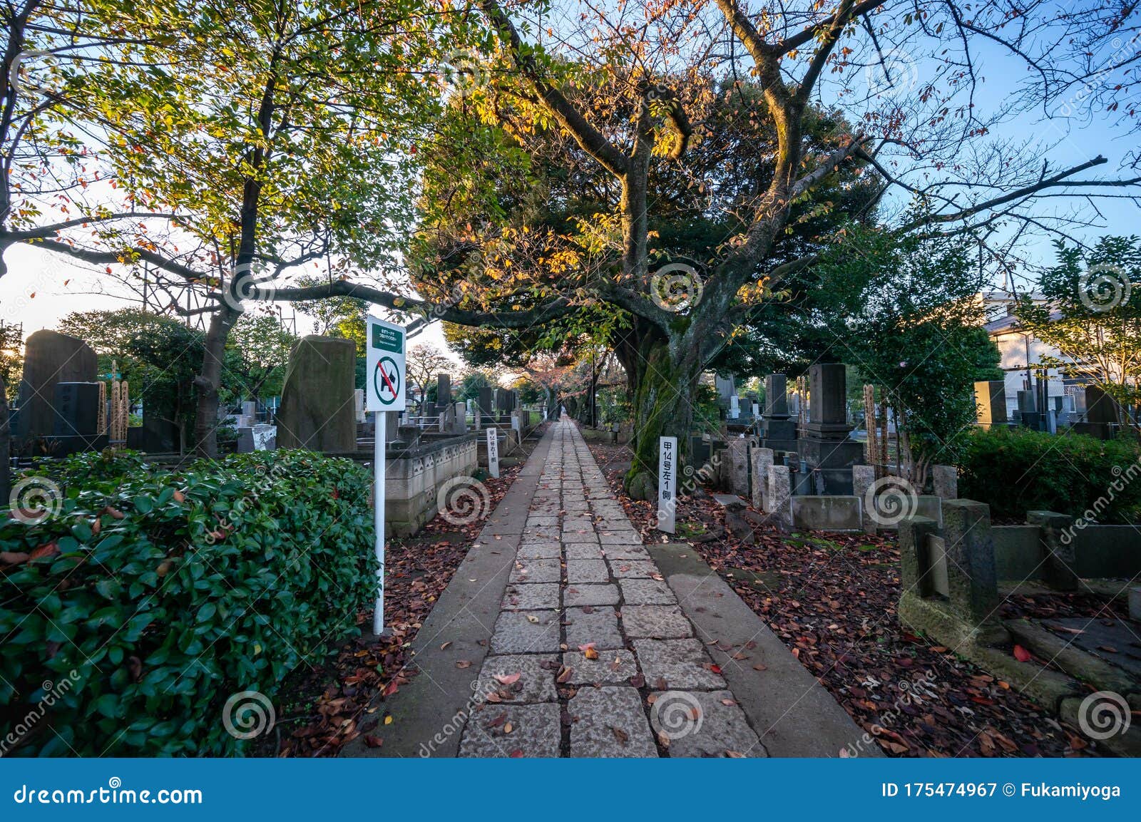 Yanaka Cemetery, Japan Tokyo Editorial Photography - Image of forest ...