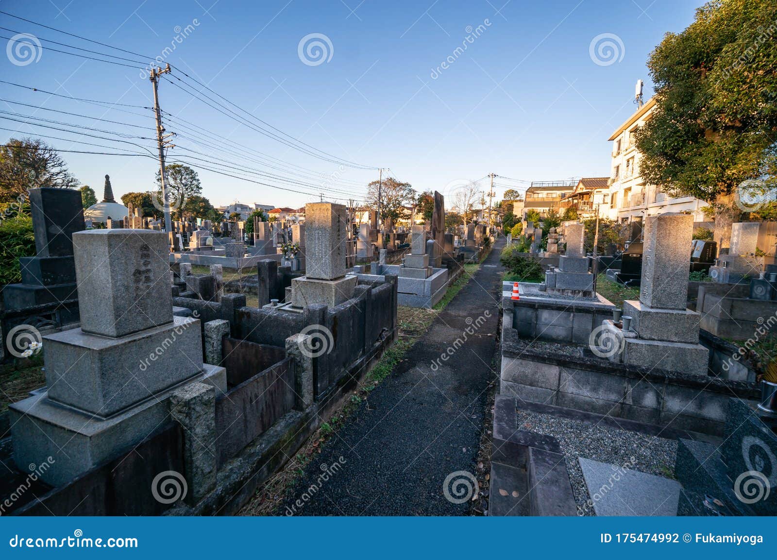 Yanaka Cemetery, Japan Tokyo Editorial Photography - Image of nature ...