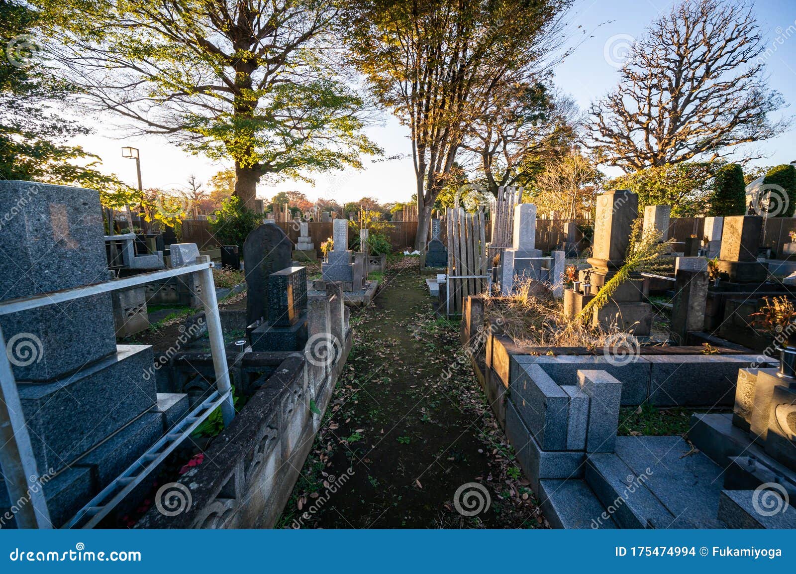 Yanaka Cemetery, Japan Tokyo Editorial Stock Image - Image of ...