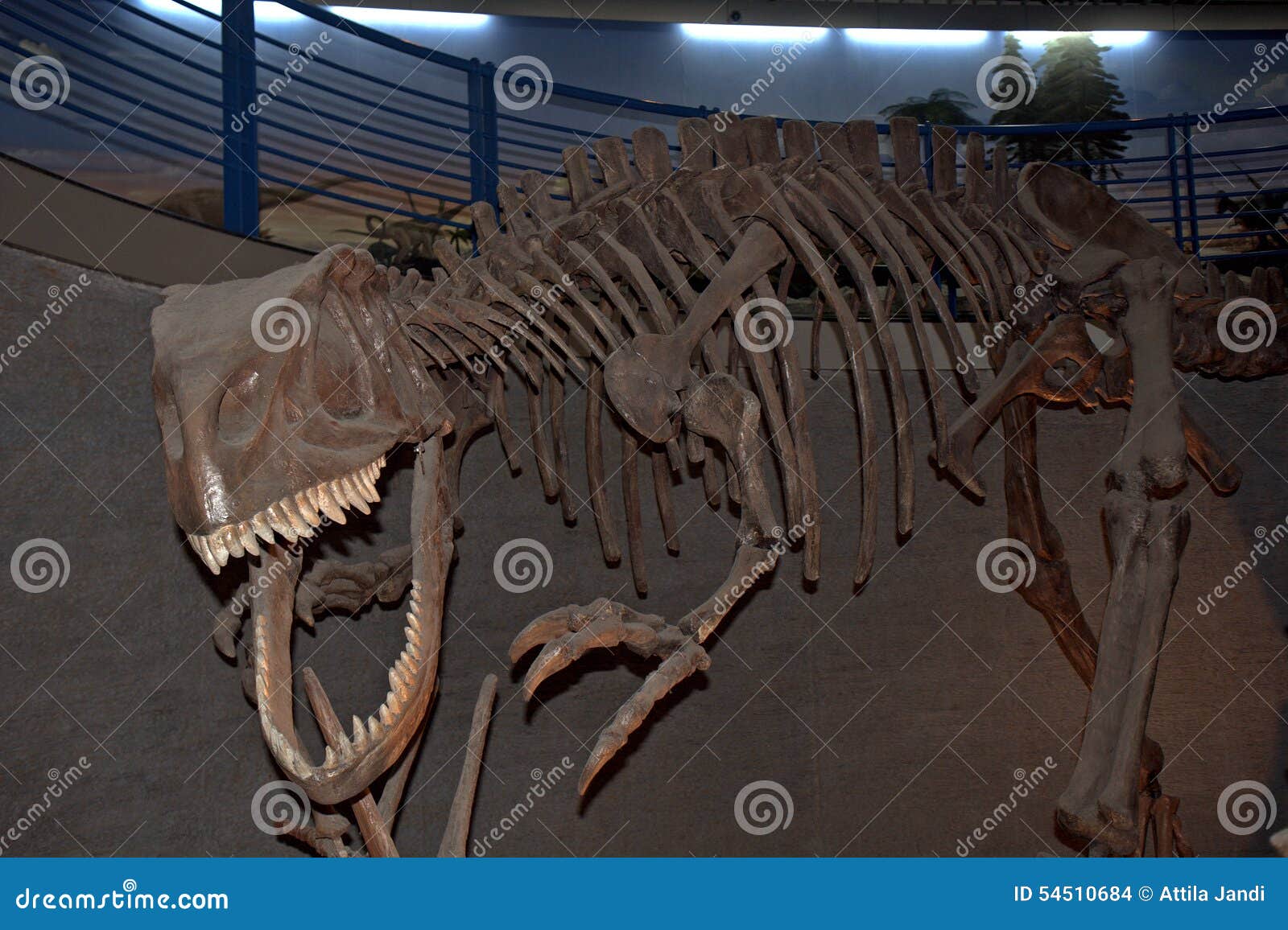 Yangchuanosaurus Shangyuensis, Beijing, China Editorial Stock Image ...