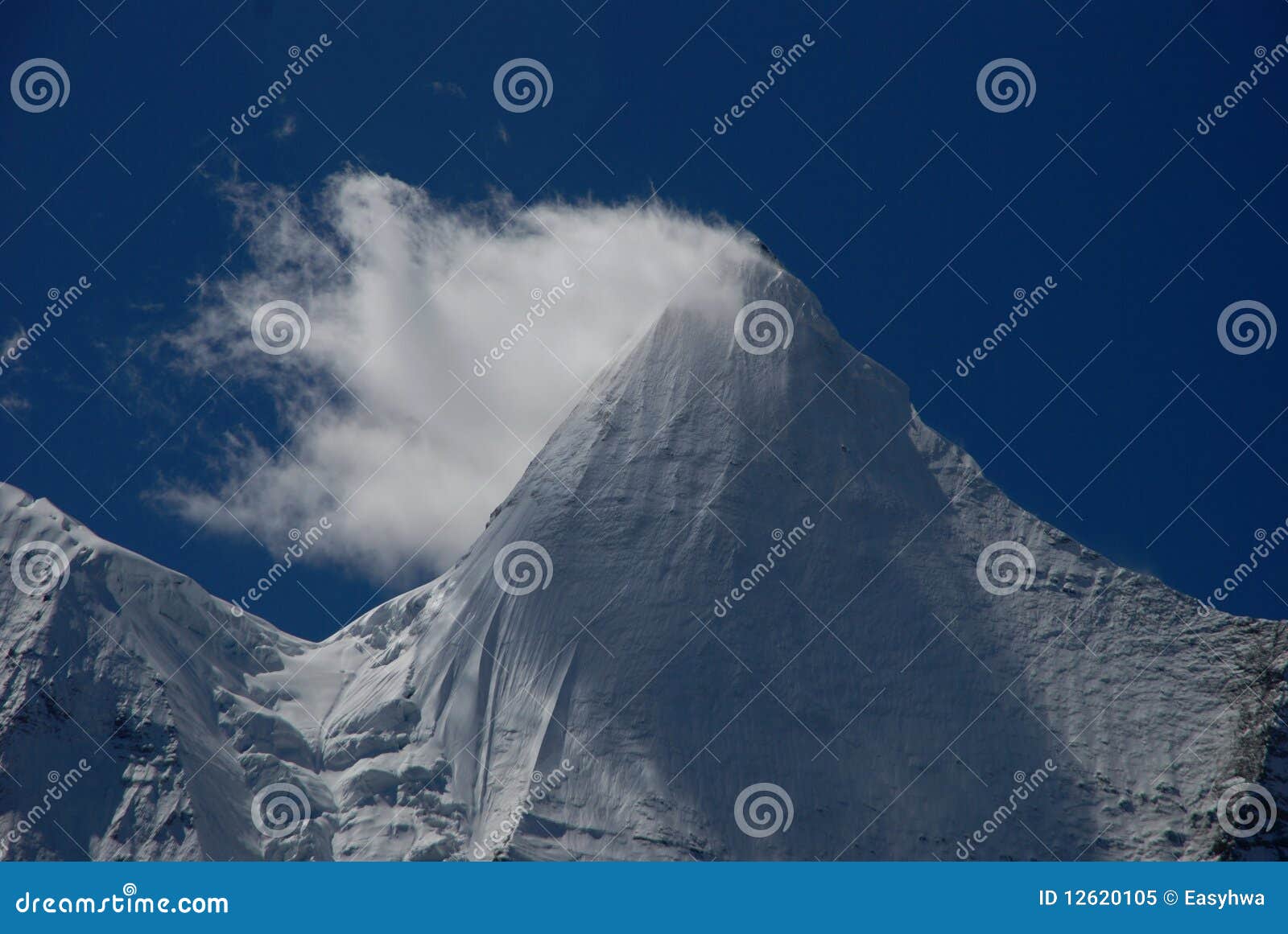 Yangmai Yong XI imagen de archivo. Imagen de horizontal - 12620105